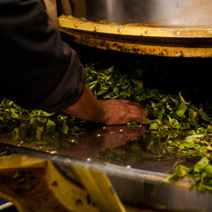 Buy Tea Online | Pure Ceylon Tea | Dilmah UAE Shop